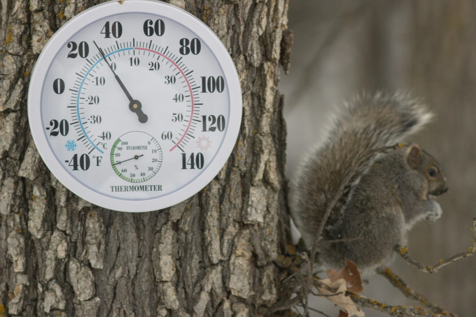 What Happens to a Propane Tank in Extreme Cold? Myths vs. Facts